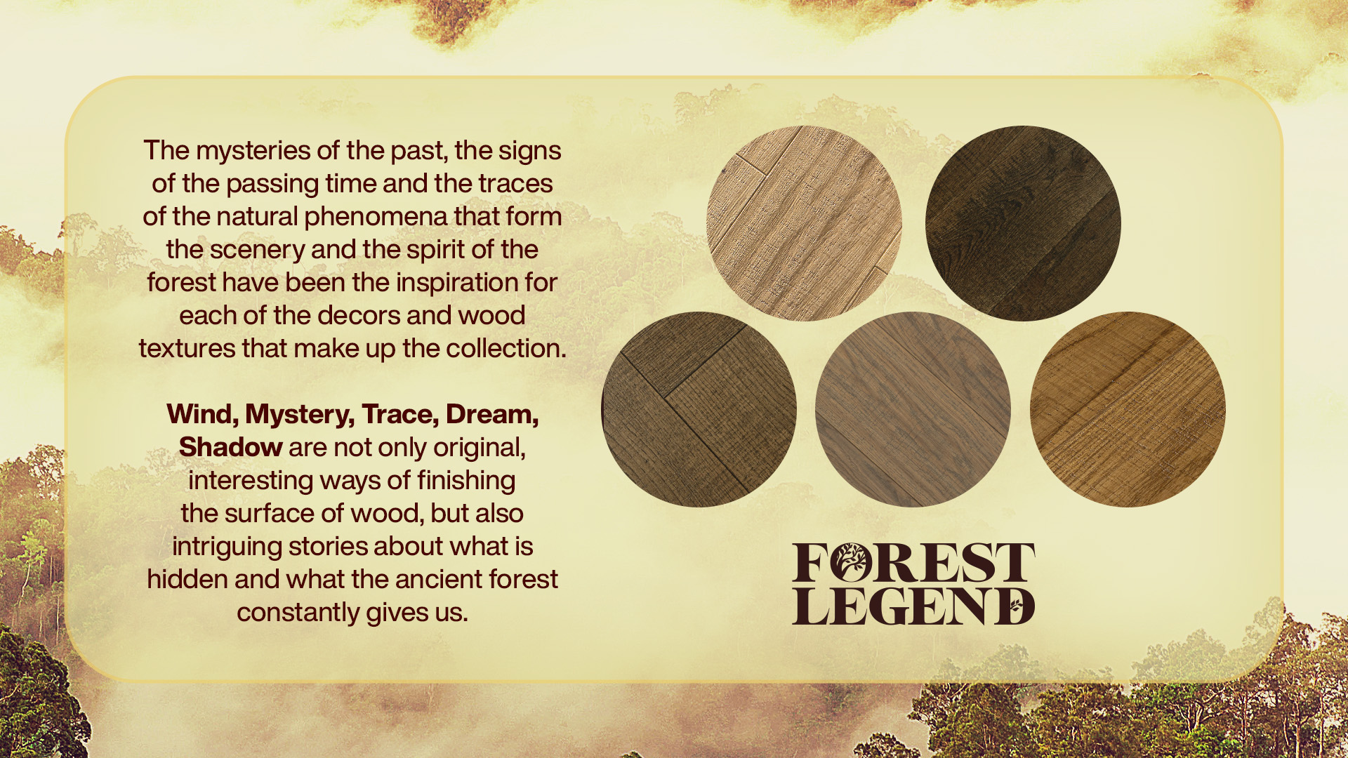 Forest Legend » Jawor-Parkiet